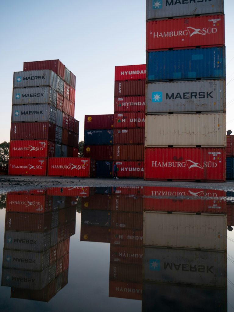 What is the Importer? - Linbis Logistics Software